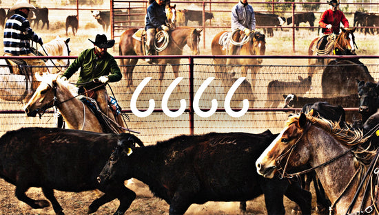 Four Sixes Grit & Glory 6666 - 6666gritandglory